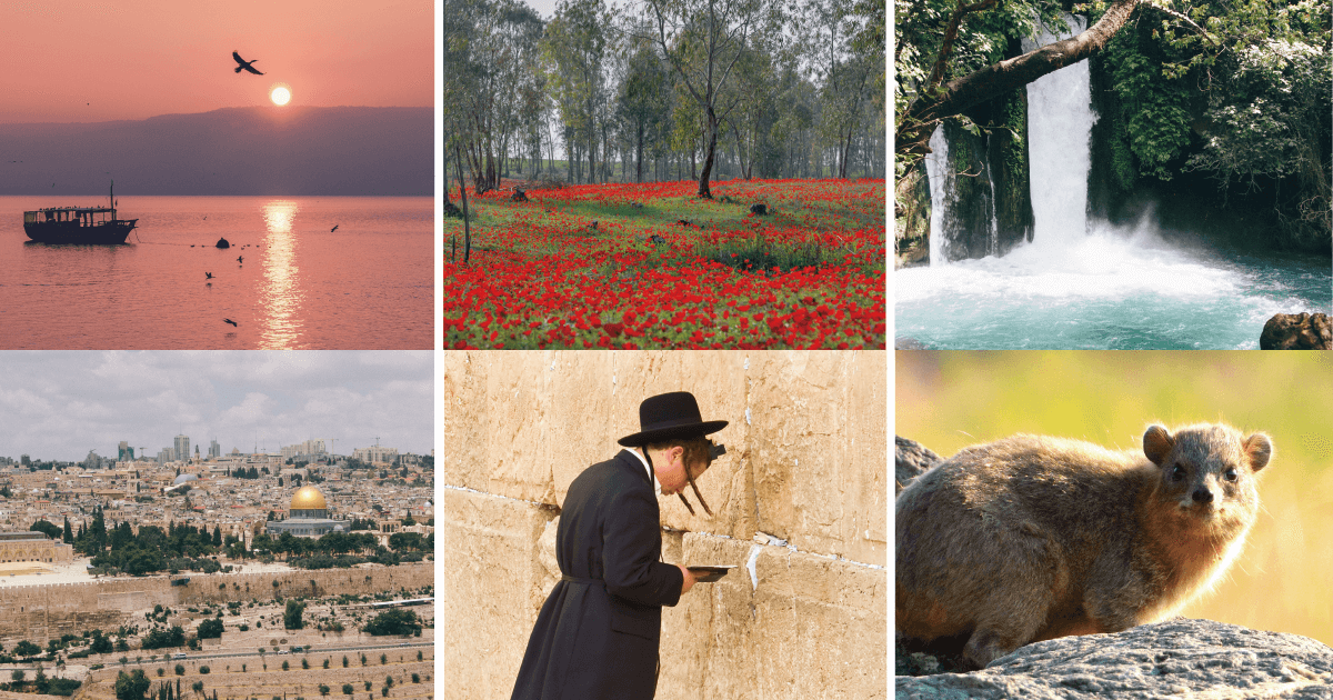 2023年11月3日（金）映画『聖書の国から』上映会 - 『生命の光』“Light of Life”