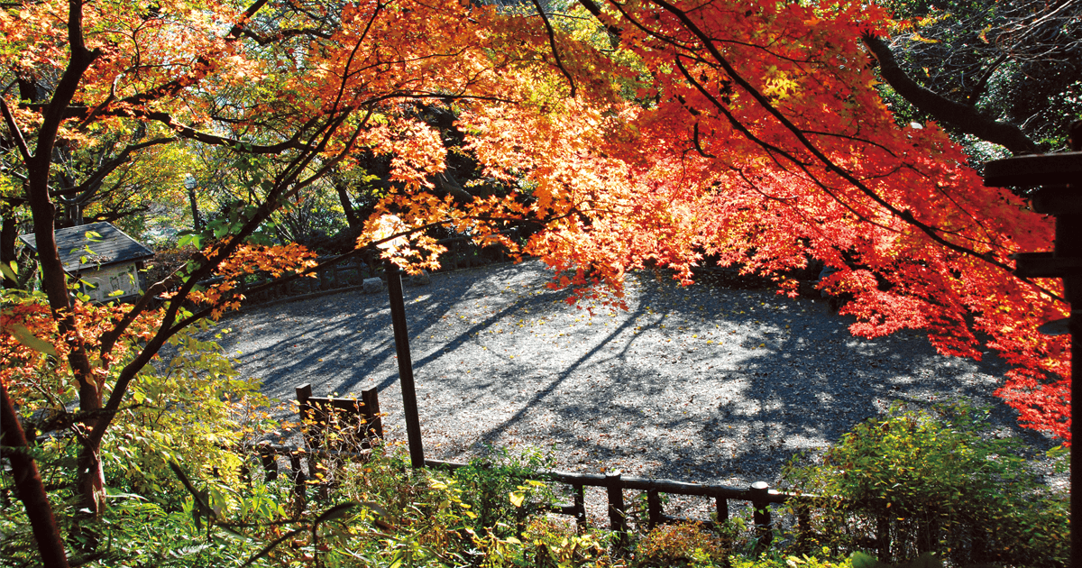 聖書講話「さまよえるキリスト」ヨハネの黙示録3章20節 - 『生命の光』“Light of Life”