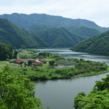 日本の賛美歌 - 『生命の光』“Light of Life”